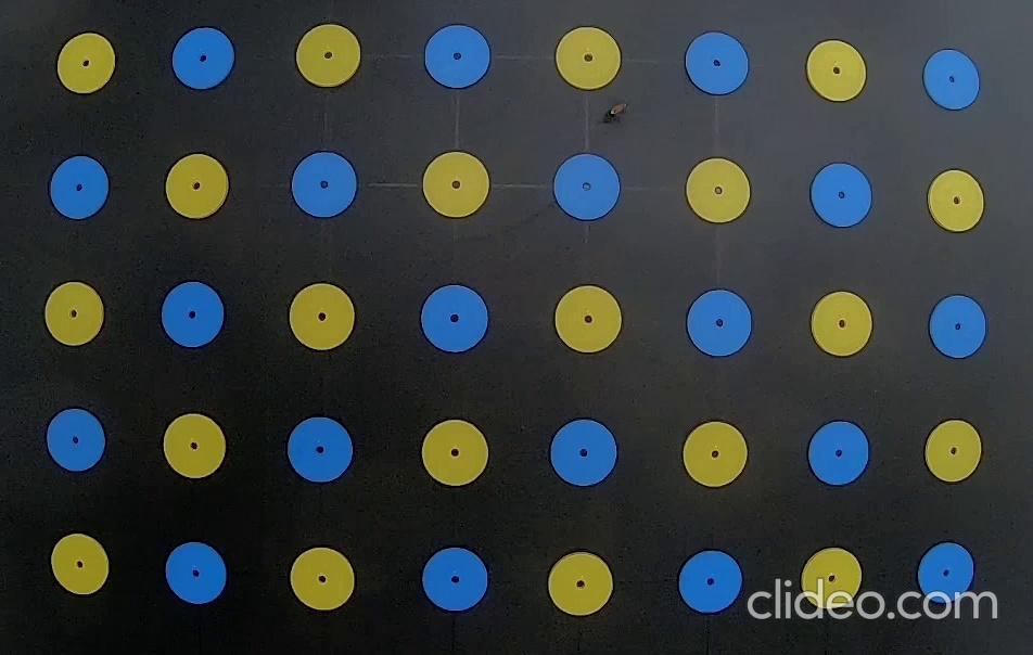 Bee Identification Object Detection Dataset and Pre-Trained Model by Bee Detection Minor Project