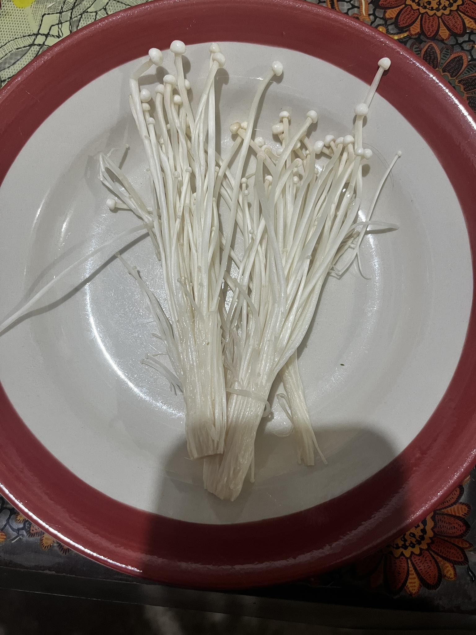 Mushroom Object Detection Dataset And Pre Trained Model By Palita Choorat