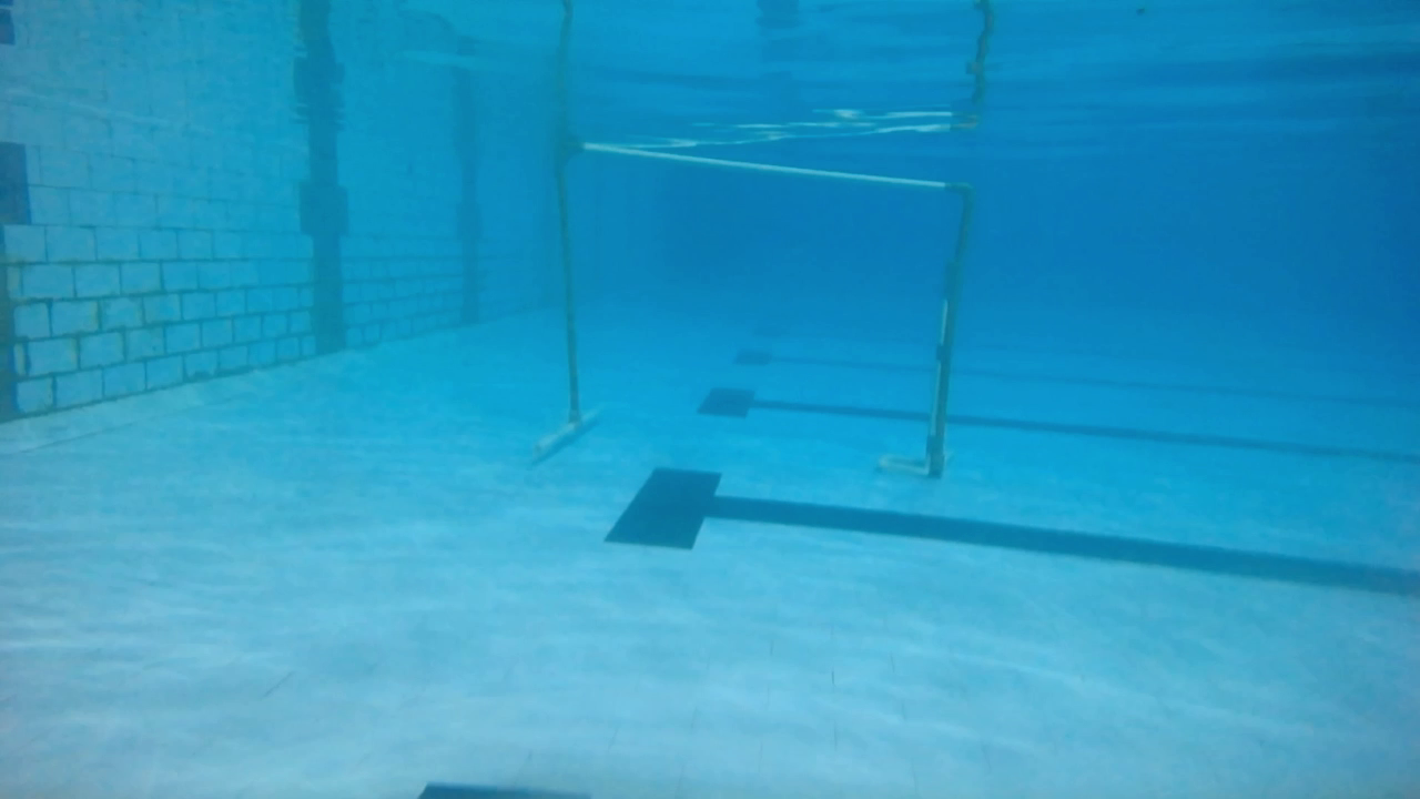 Underwater Object Detection Object Detection Dataset And Pre Trained