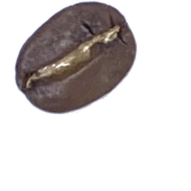 Coffee_Beam_OpenCV Object Detection Dataset by Coffee Beans