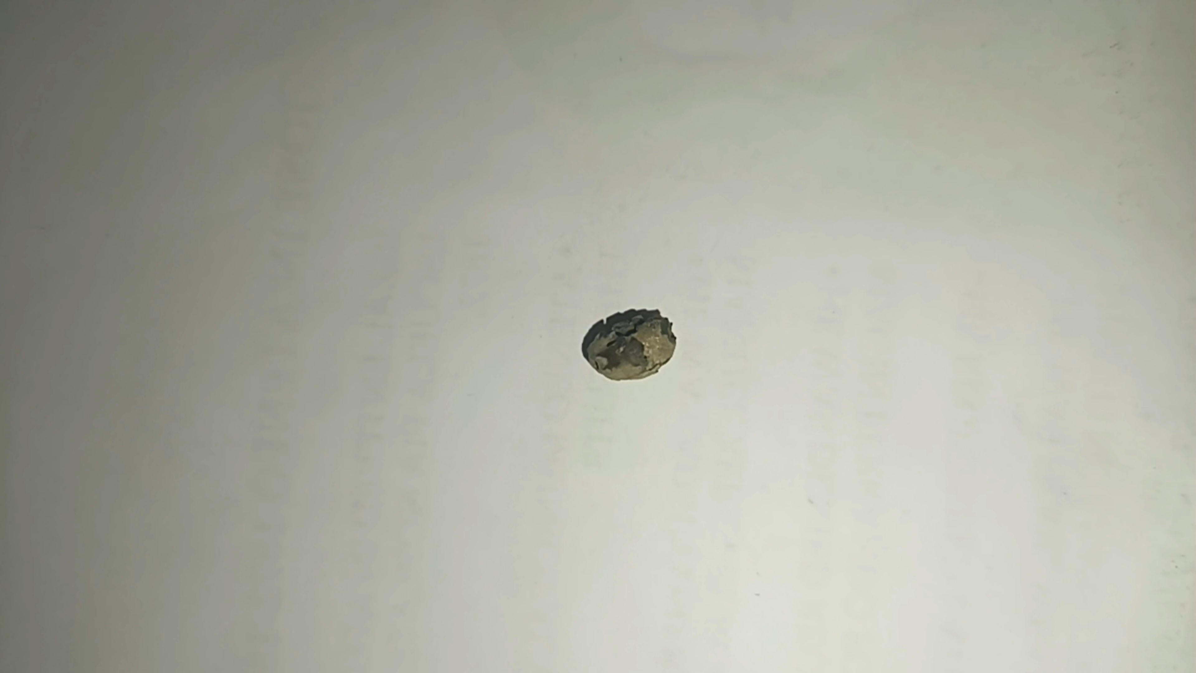 coffee beans detecton 2.0 Object Detection Dataset and Pre-Trained Model by Coffee Beans