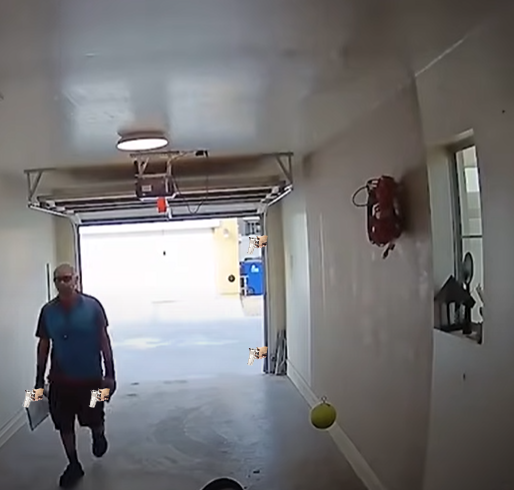 Human Action Recognition Human Action Recognition Soliz Roboflow