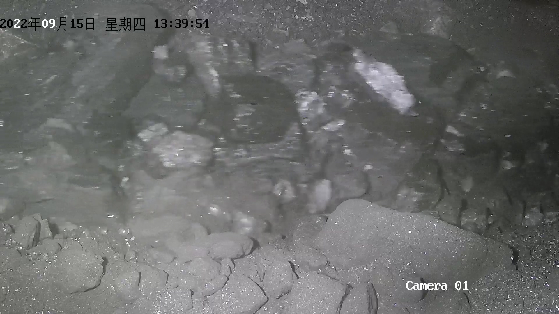 CJT-step1-v1_3-valid Instance Segmentation Dataset by Liam Li