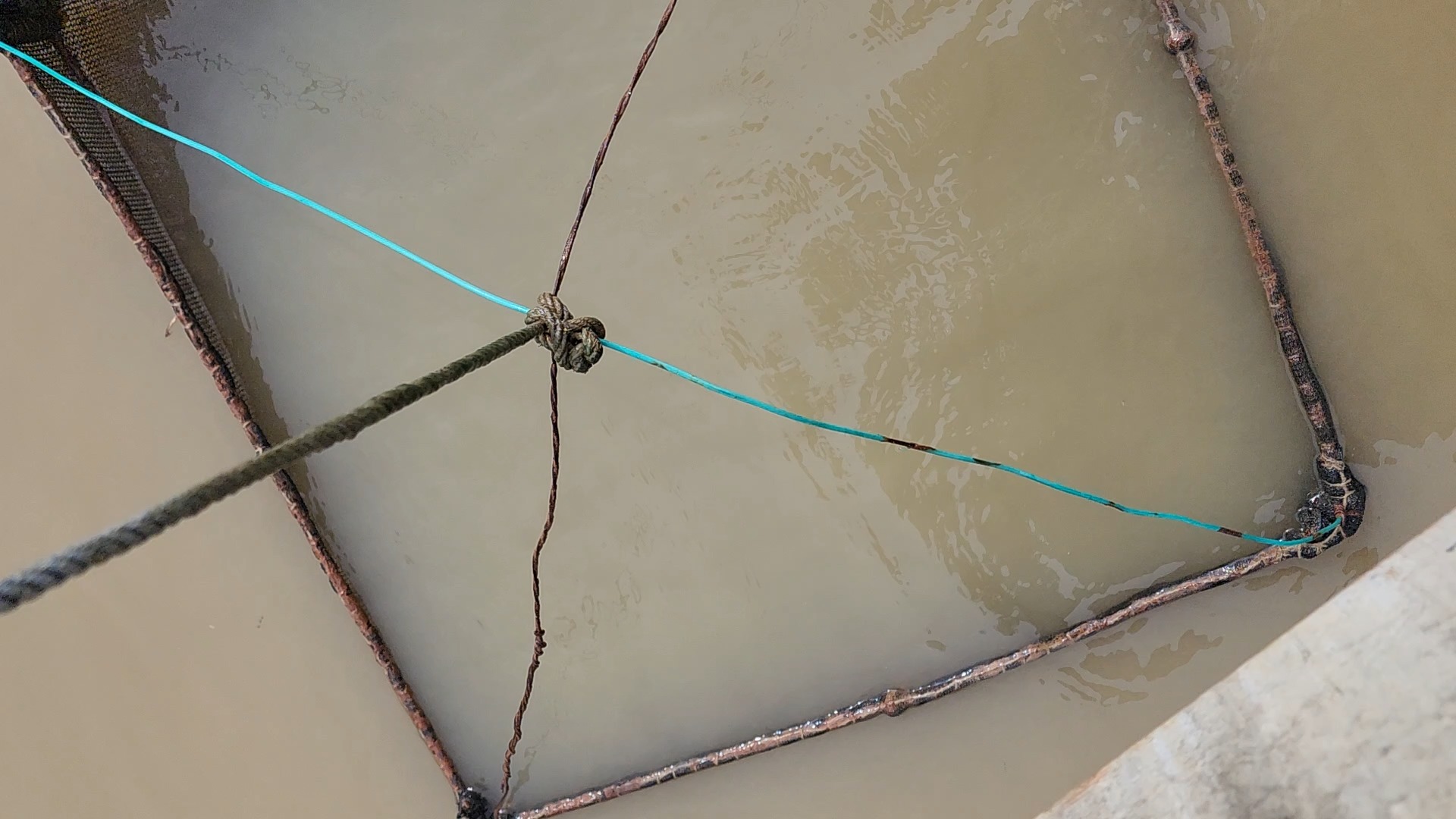 Prawn And Feed Detector Object Detection Dataset And Pre Trained Model By Traffic Analysis