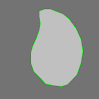 FYP Mango - Roboflow Universe