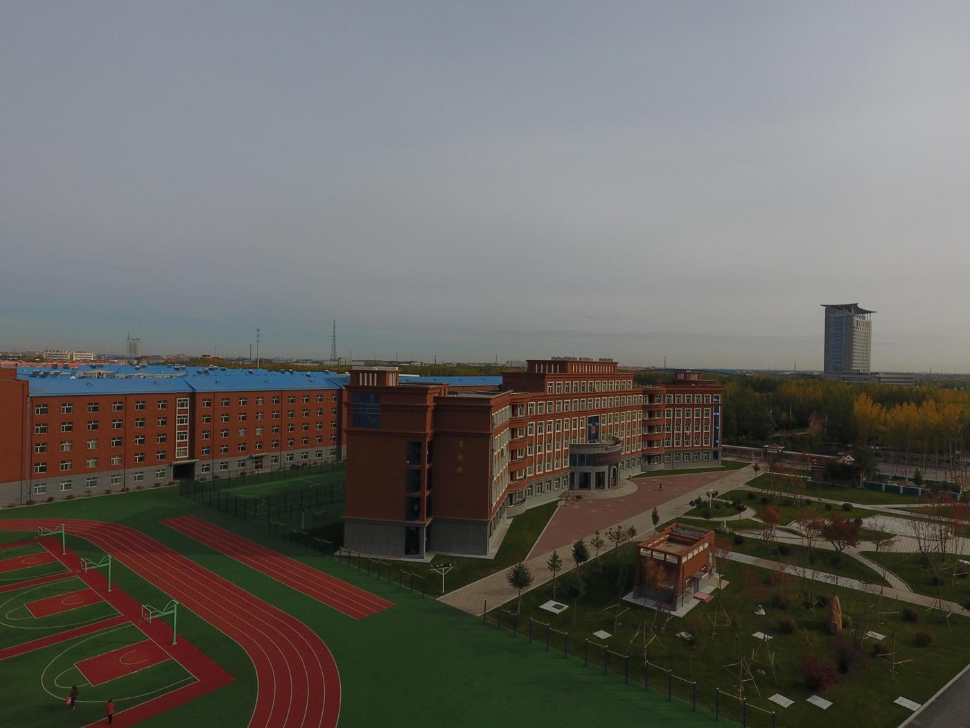 VISdrone Object Detection Dataset by yolov8n