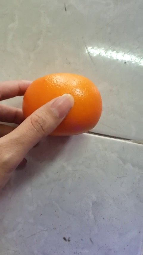 orange Object Detection Dataset by zehra