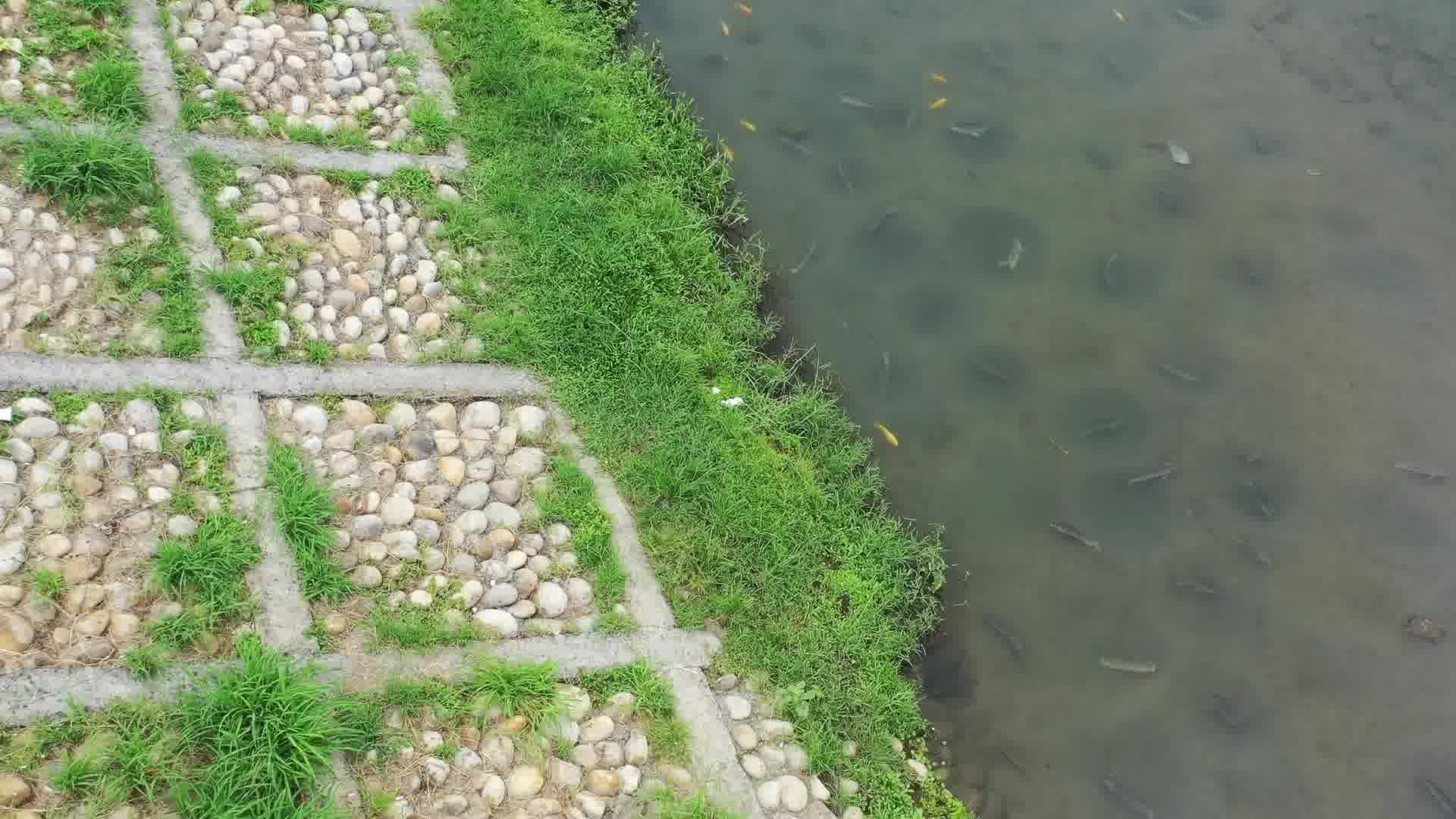 river trash Object Detection Model by ppplab