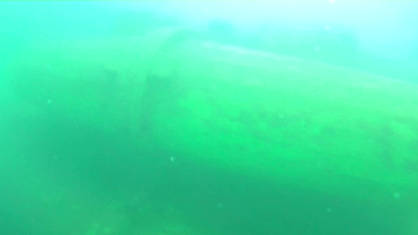 marine-robotics-2022 Object Detection Dataset and Pre-Trained Model by marinerobotics