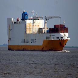 ding hangzi - Roboflow Universe