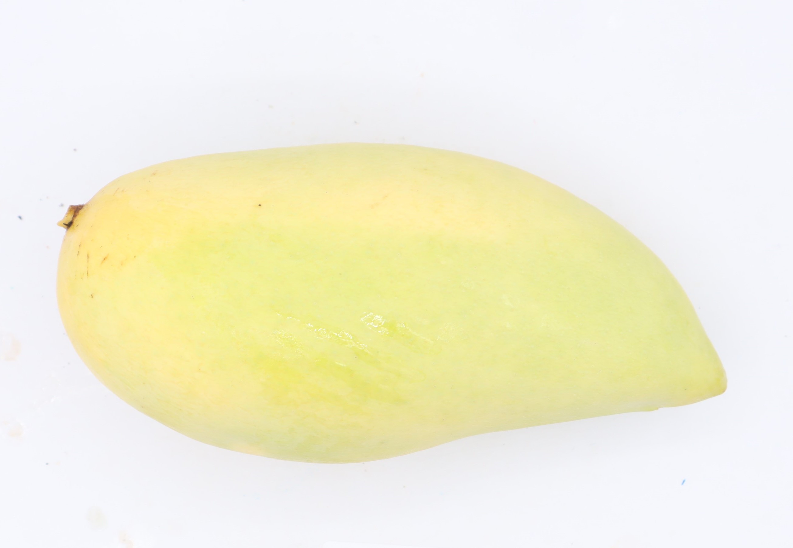 New Mango Peduncle Object Detection Dataset By Mangoes