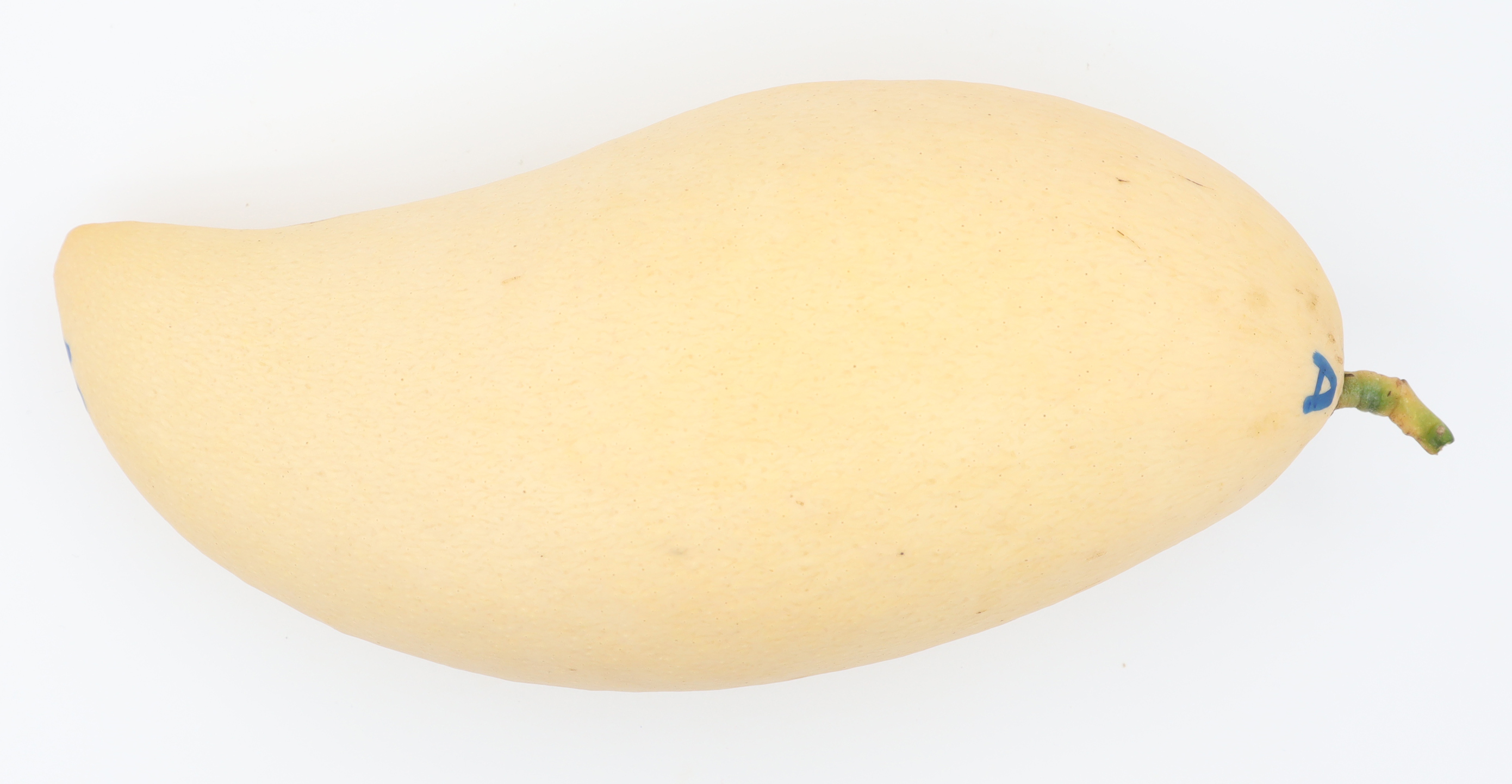 Mango Fruit Peduncle Object Detection Dataset And Pre Trained Model By Mangoes