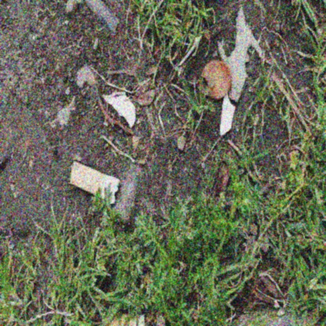 Cigarettes Butts Detection Instance Segmentation Dataset And Pre Trained Model By Meti