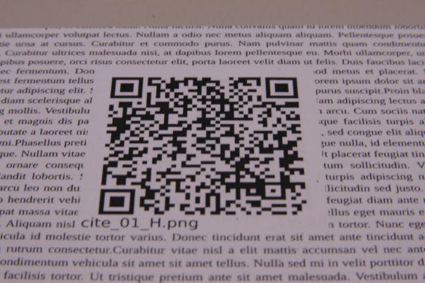 dmqr Object Detection Dataset by san