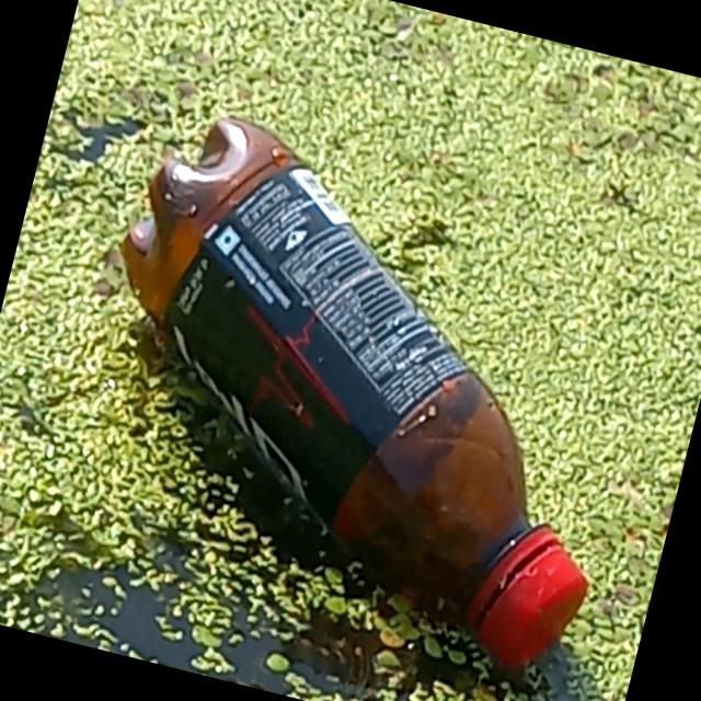 Bulk_Classification Object Detection Dataset and Pre-Trained Model by Aranya