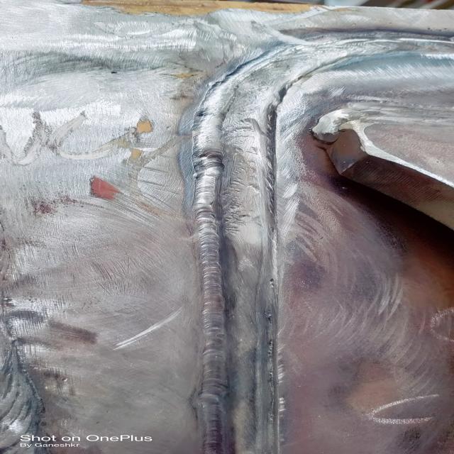 wild3 Instance Segmentation Dataset by kk