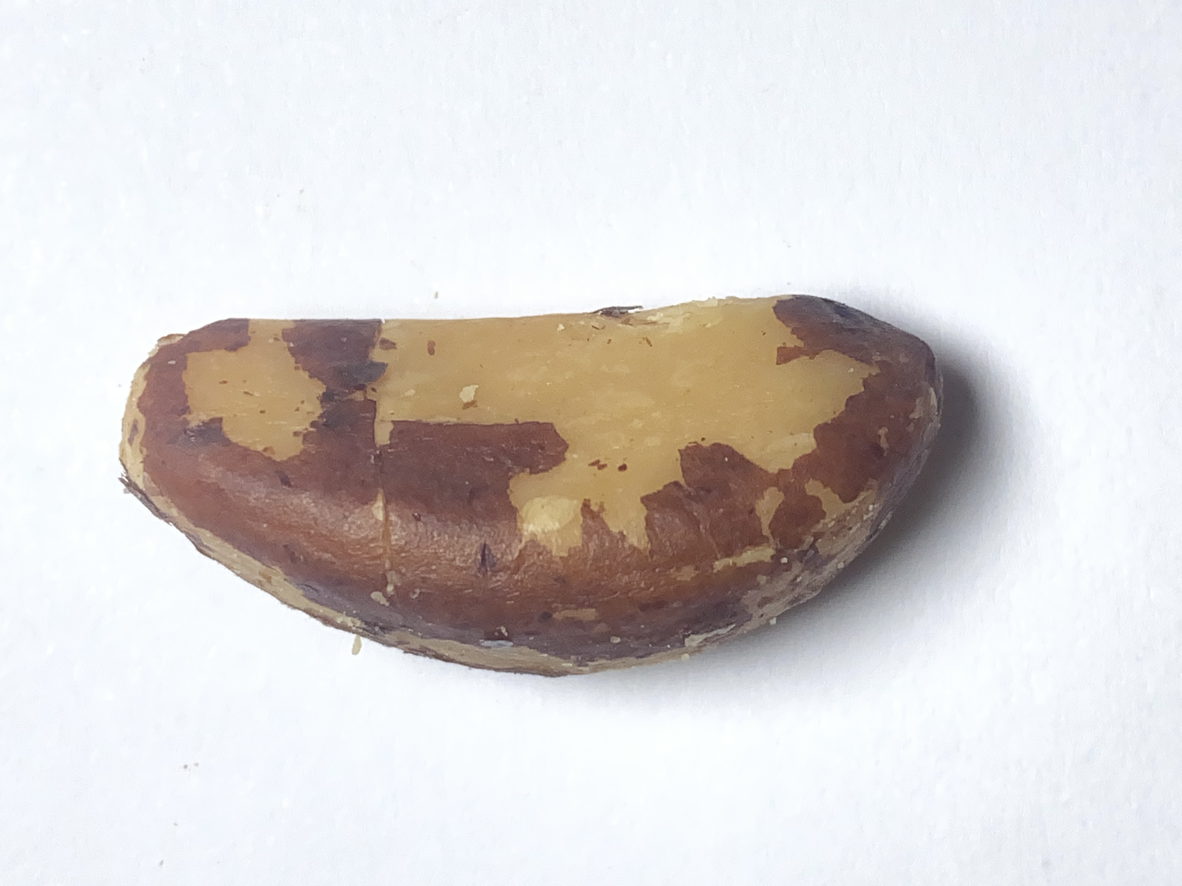 Nut_Classification Classification Dataset by ImM0rTaLBB