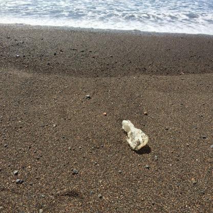 Trashnet Object Detection Dataset by NCI