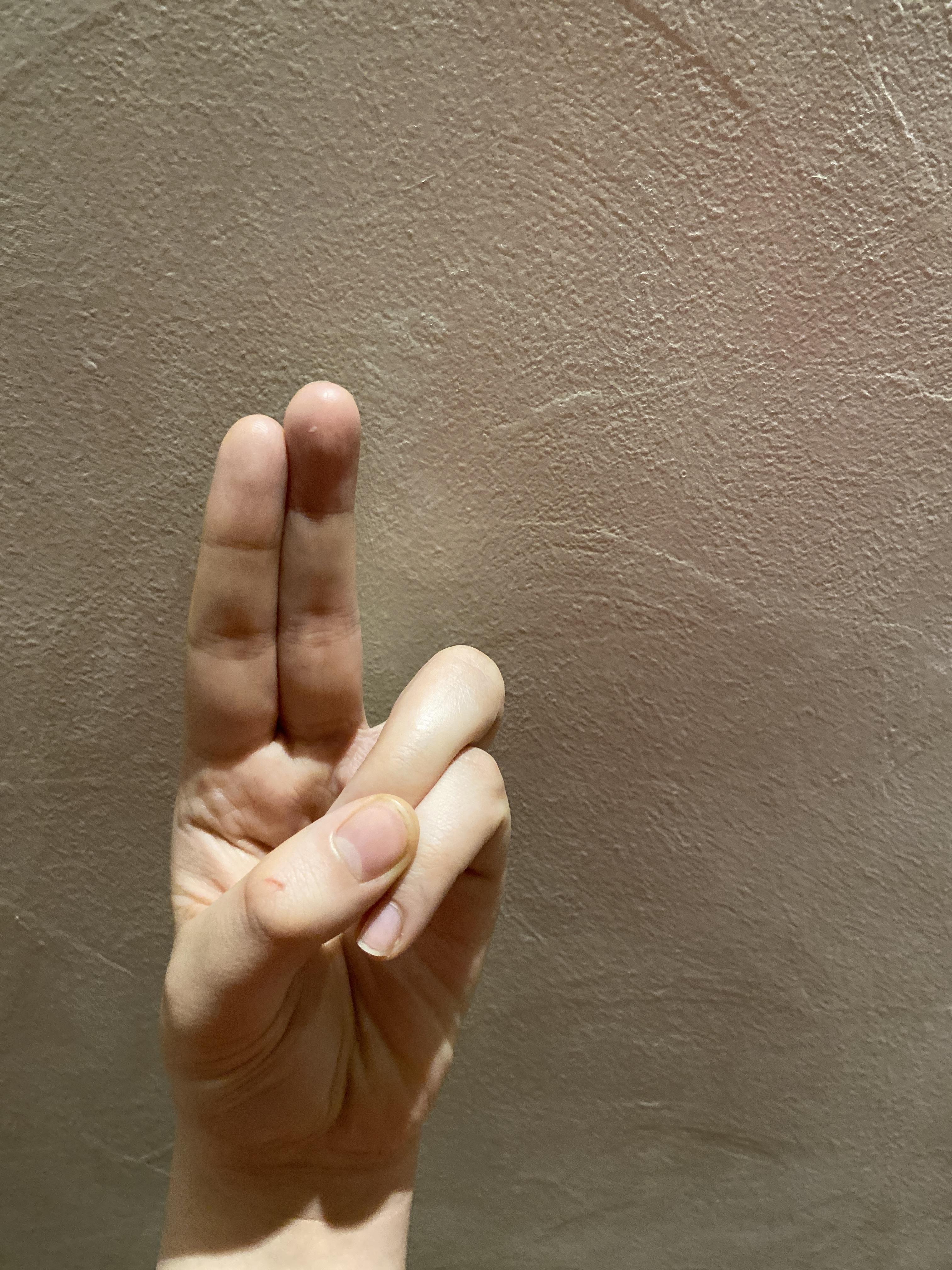 Like Rgb Arsl Rgb Arabic Alphabet Sign Language Aasl Dataset Roboflow Universe Search