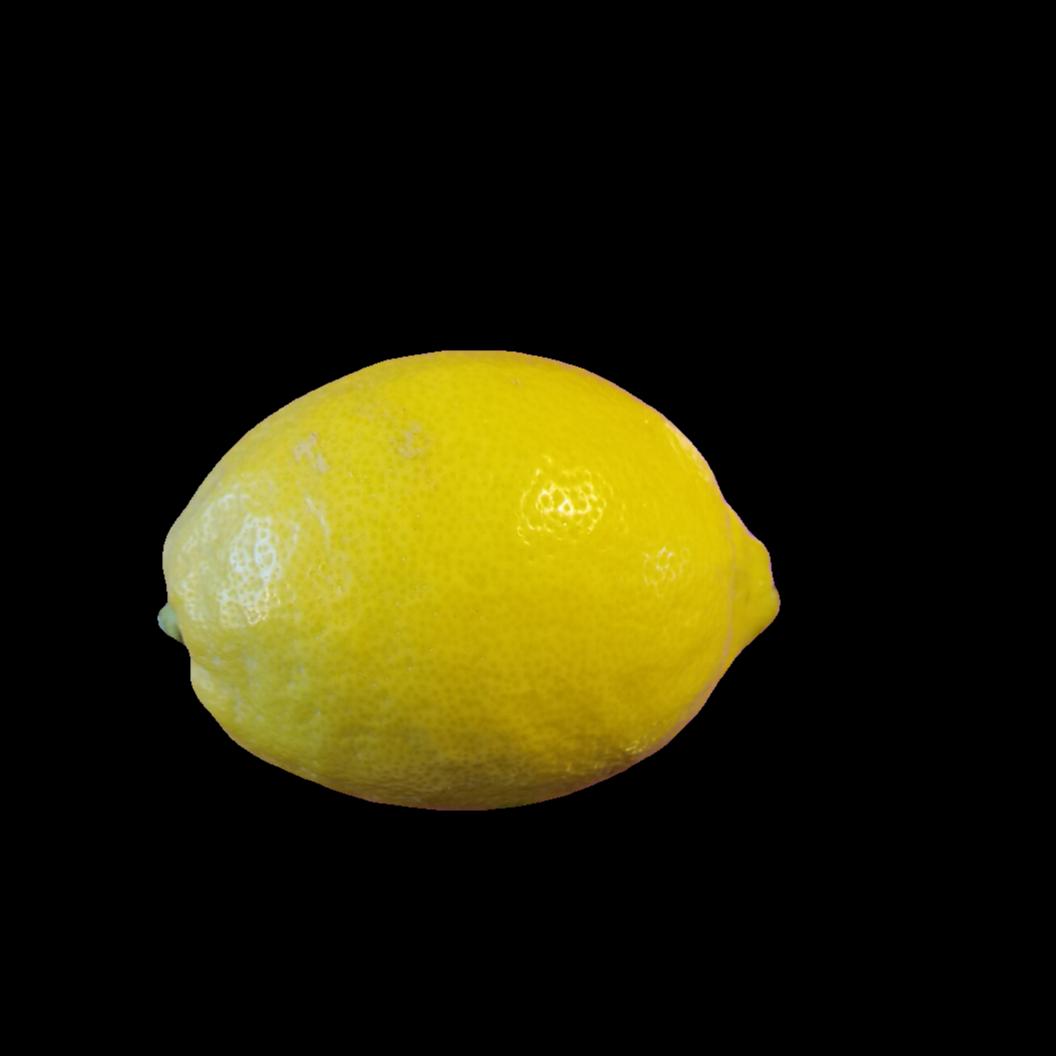 lemon-quality-shape Instance Segmentation Model by 1obs