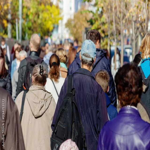 s1 Object Detection Dataset by robo