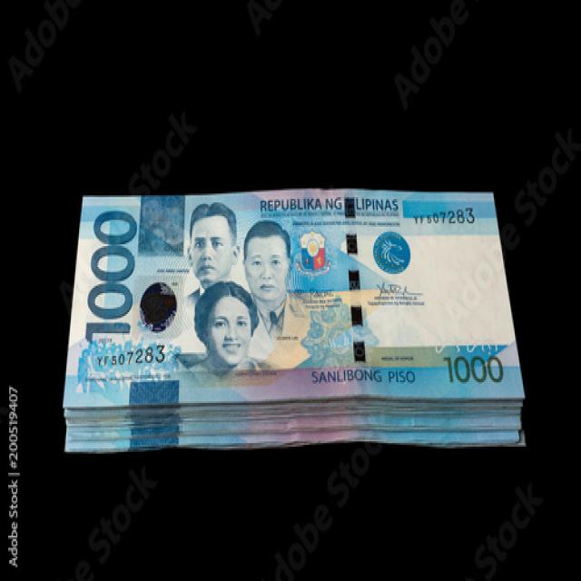 1000 peso bill Object Detection Dataset by myworkspace