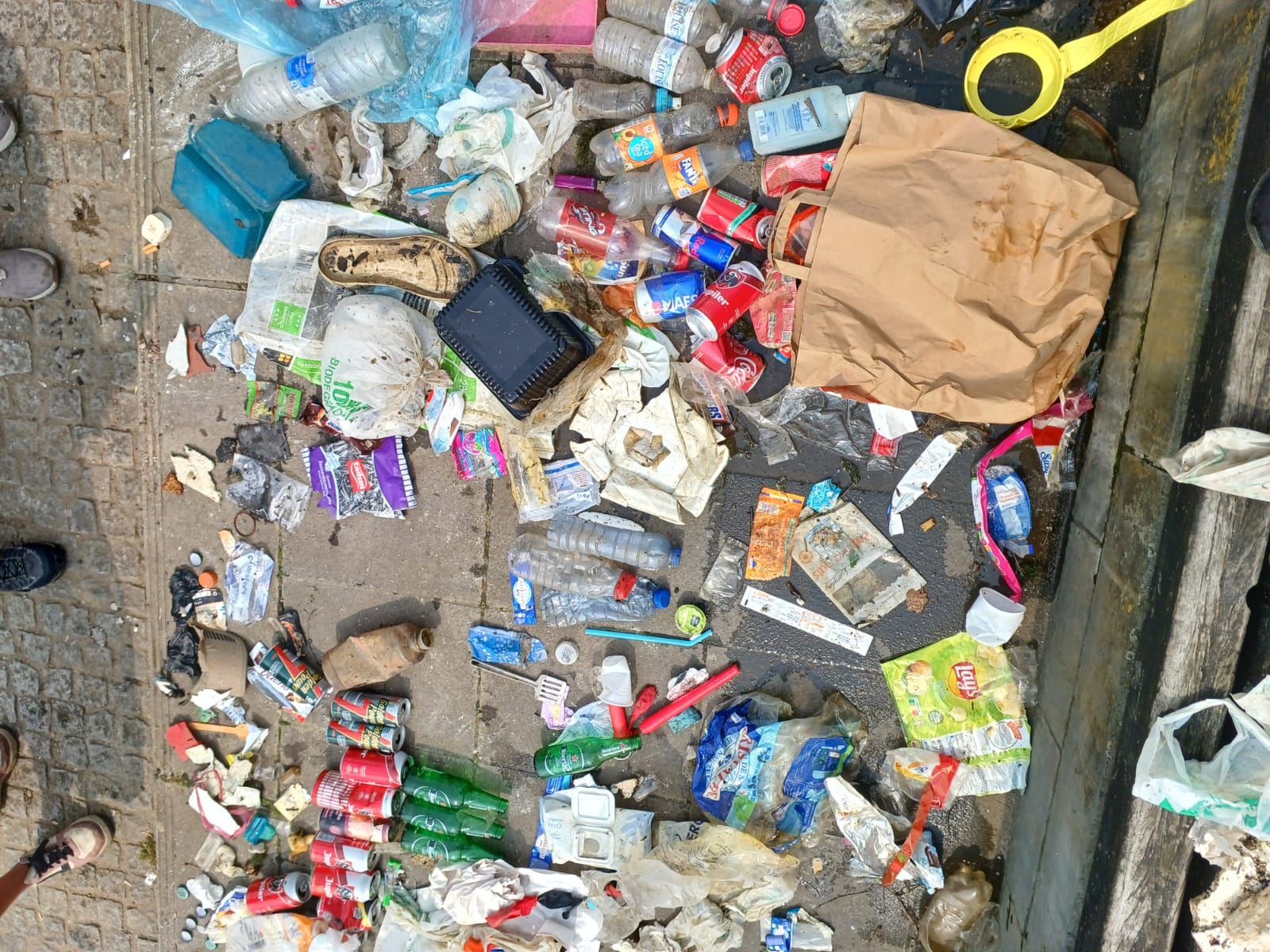 BRAND AUDIT BRANDS Object Detection Dataset by Brand Audit AI