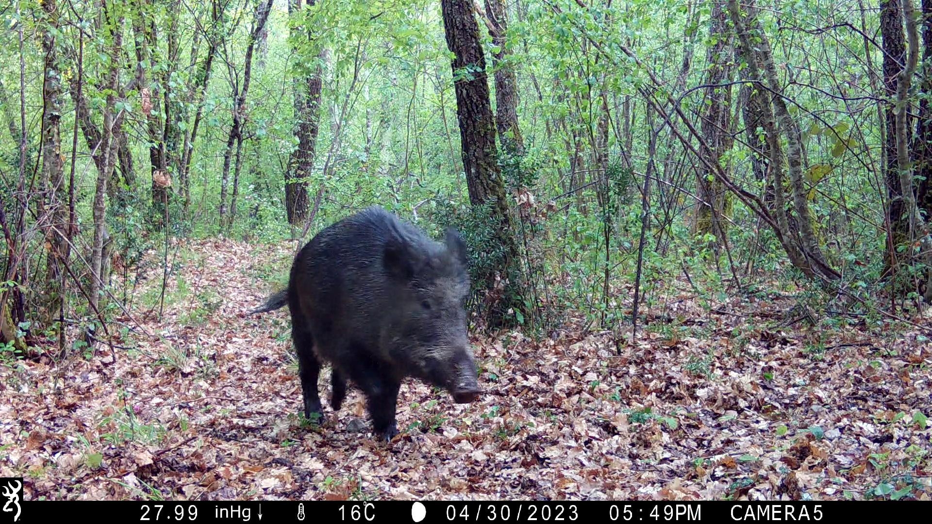 Wb Prova Stqnm Fsod Tgki Object Detection Dataset By Roboflow 20 Vl Fsod