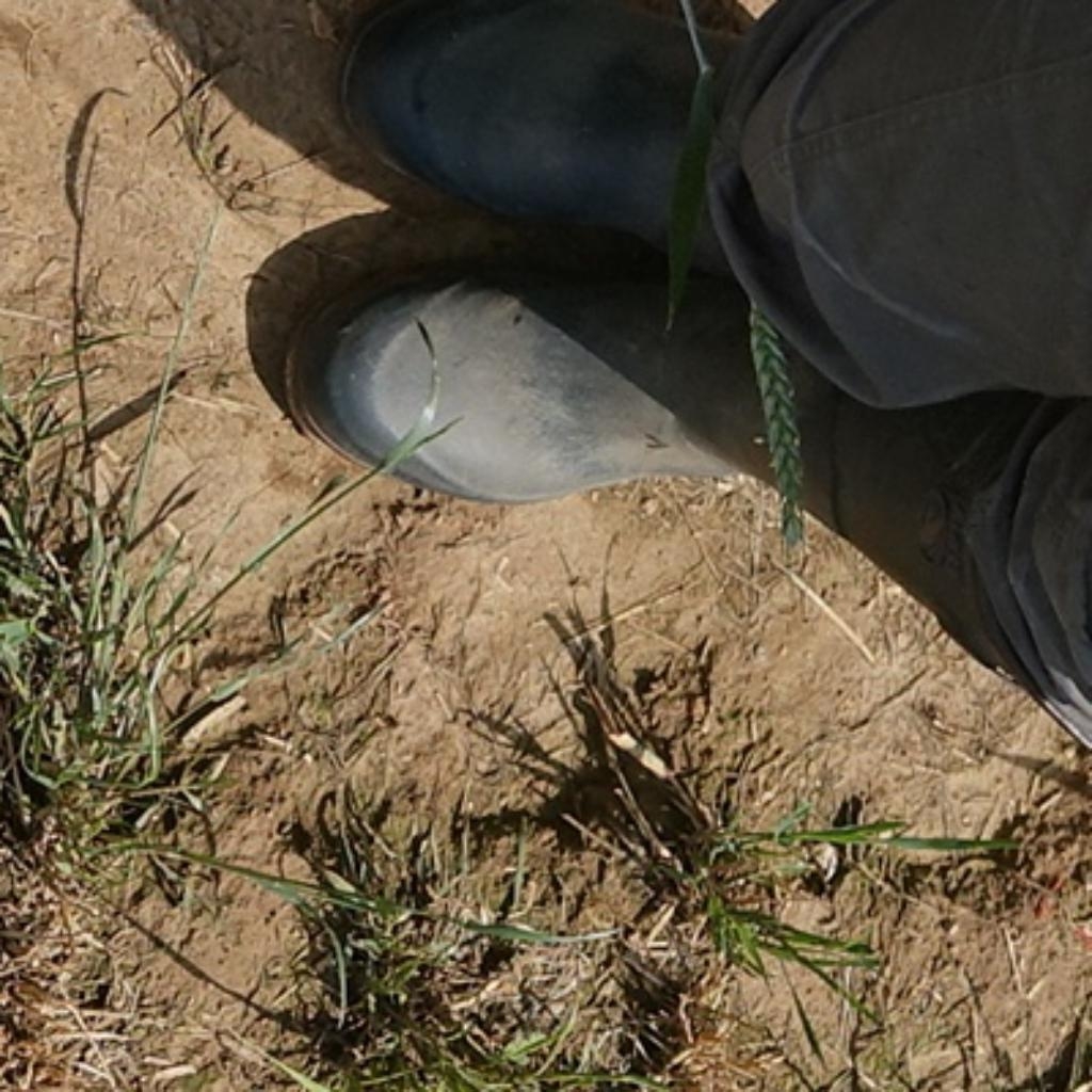 Gwhd2021 Fsod Wmbp Object Detection Dataset By Roboflow 20 Vl Fsod