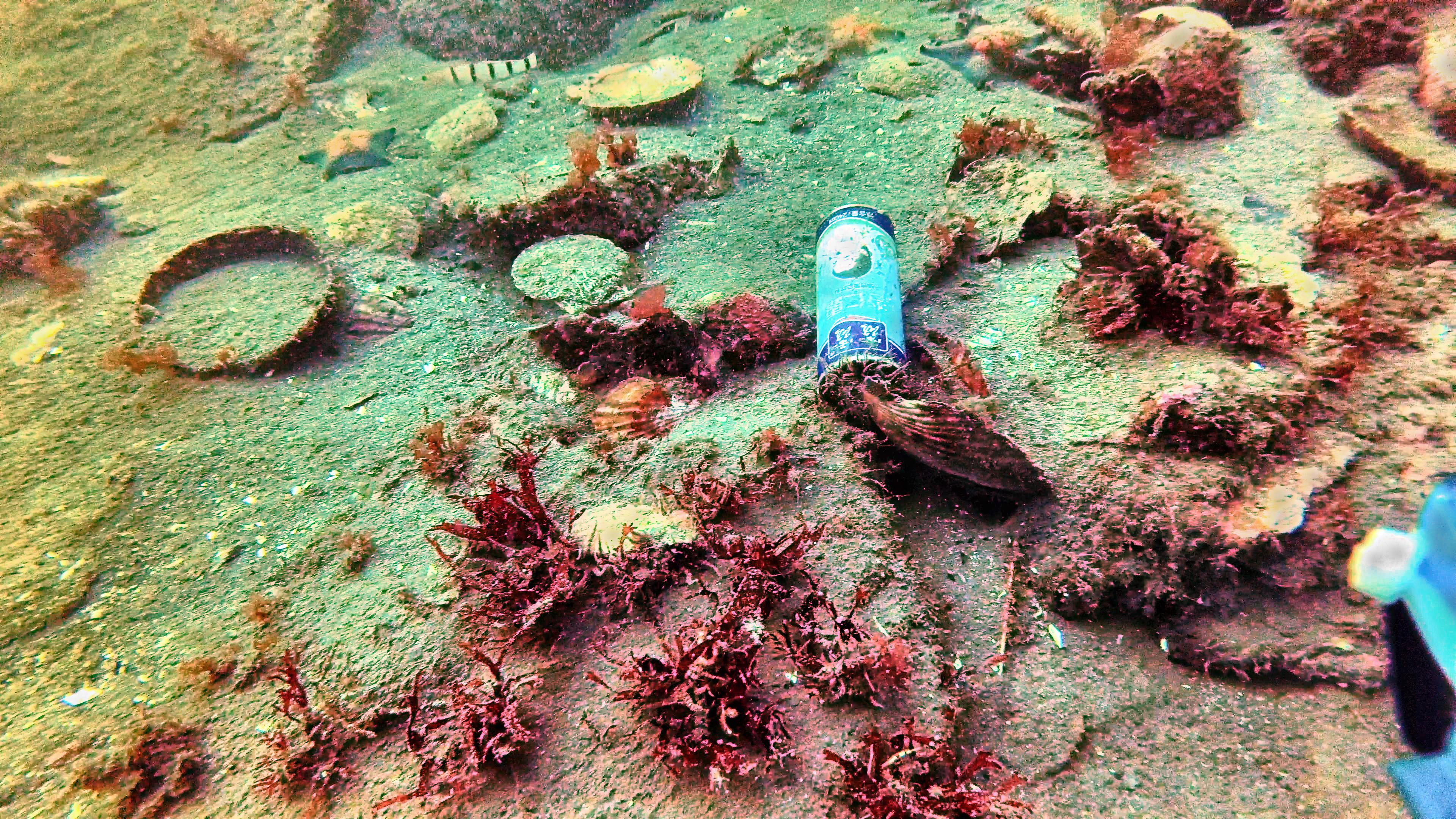 underwater objects Object Detection Model by underwater images