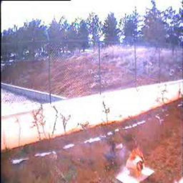 Fire Object Detection Dataset By Porvip