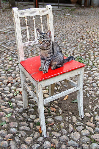 demo_chair Object Detection Dataset and Pre-Trained Model by space