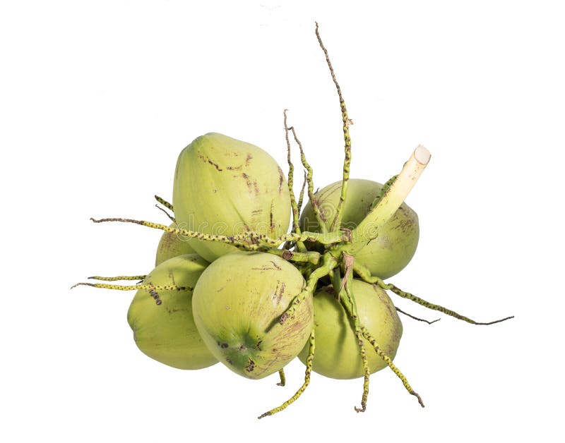 target2 Object Detection Dataset by Shiv