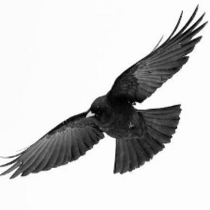 Drone vs Bird Detection Object Detection Dataset by Drone Detection Project