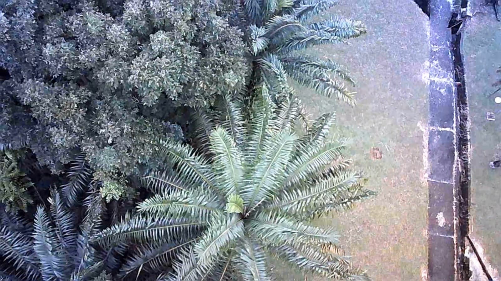 sawit2 Object Detection Model by student