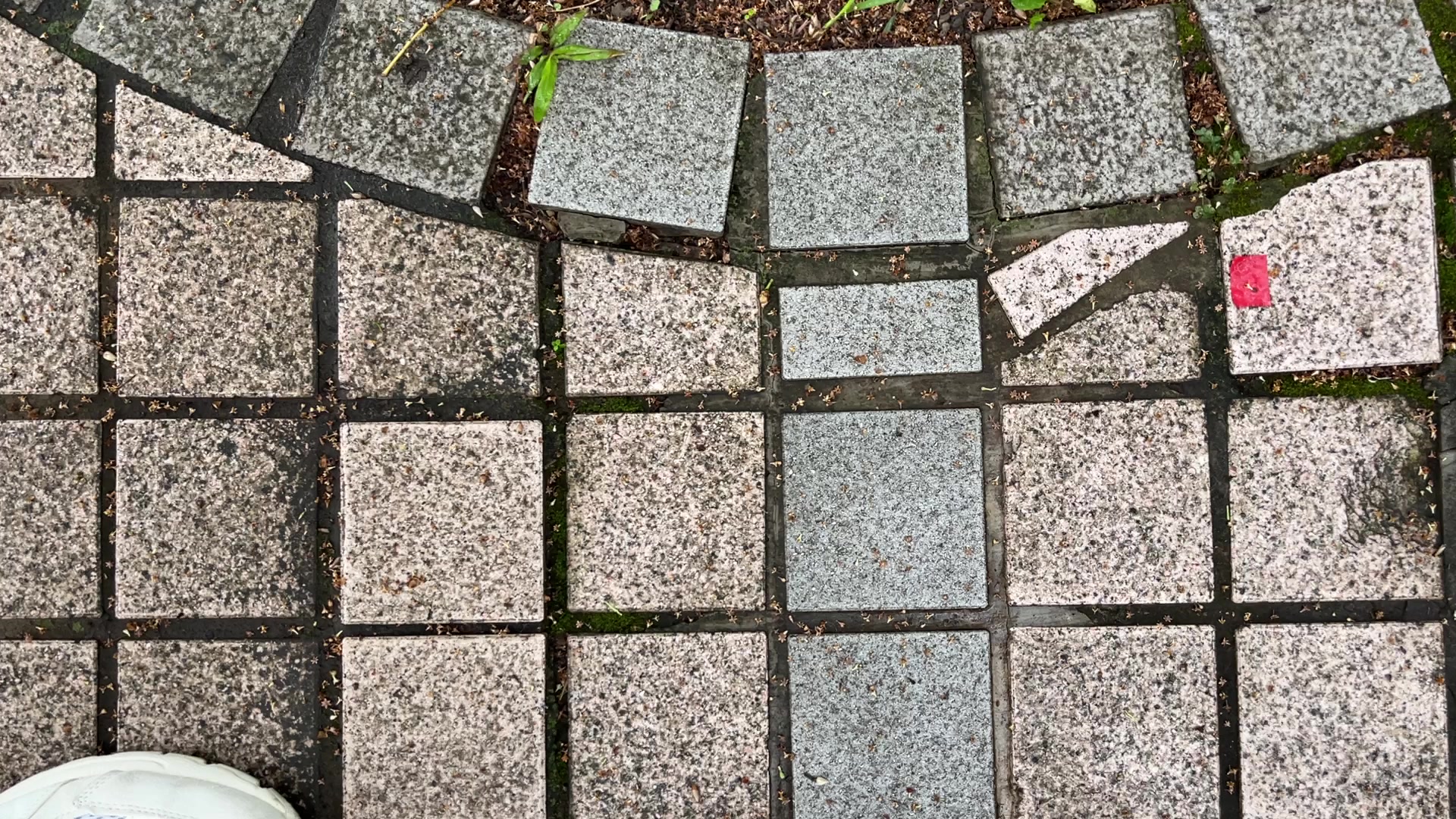 Tile Image Object Detection Dataset By Tile Image Dataset V1