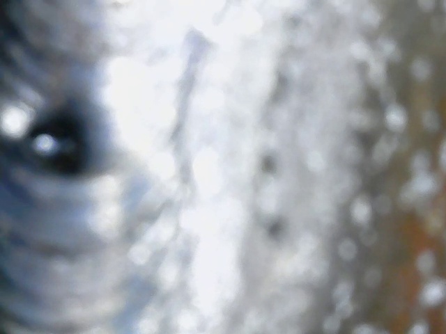 Welding Data Set Semantic Segmentation Model V3 Weld Defects Dataset By Welding Data