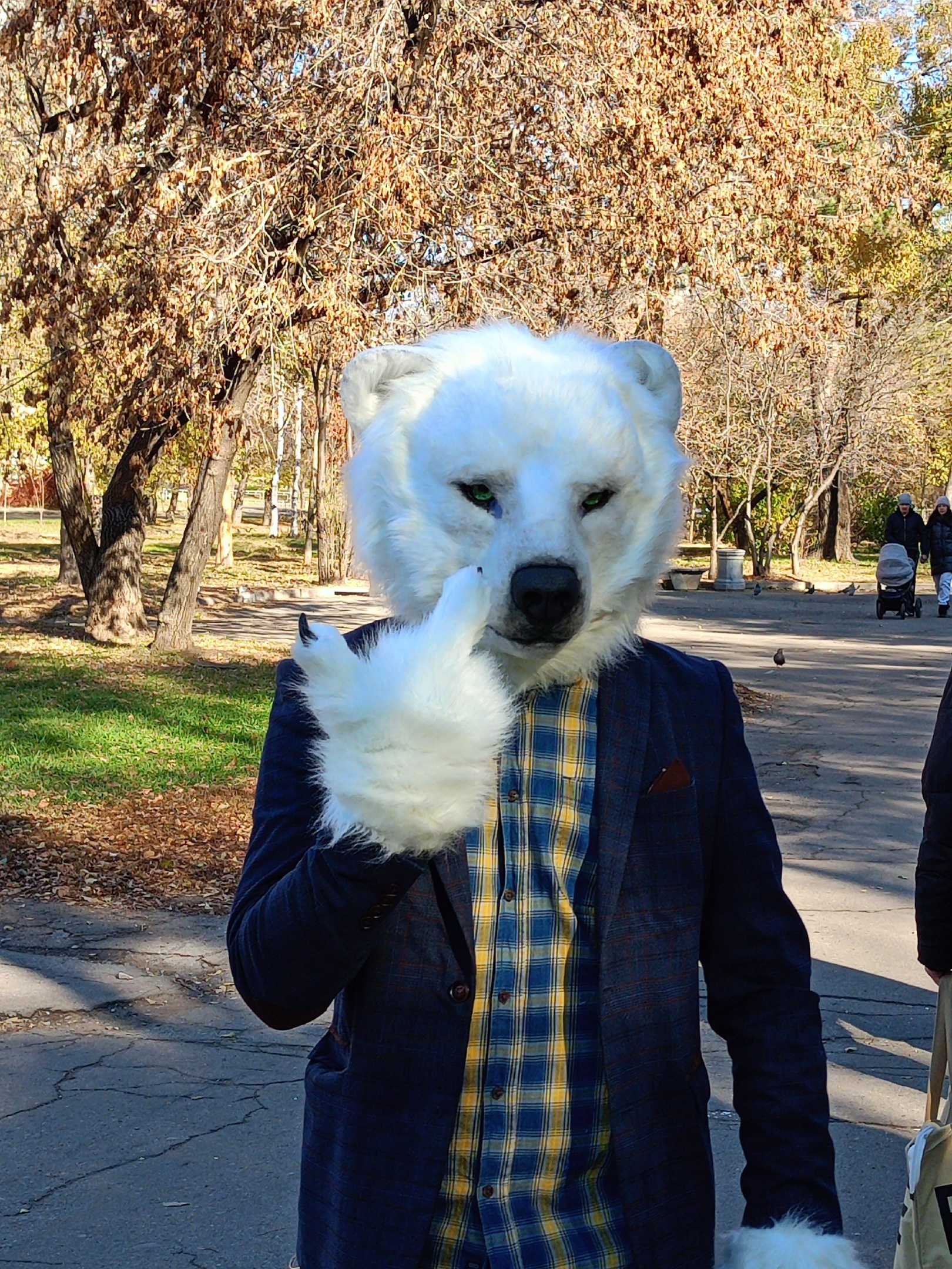 Furry Object Detection Model by test