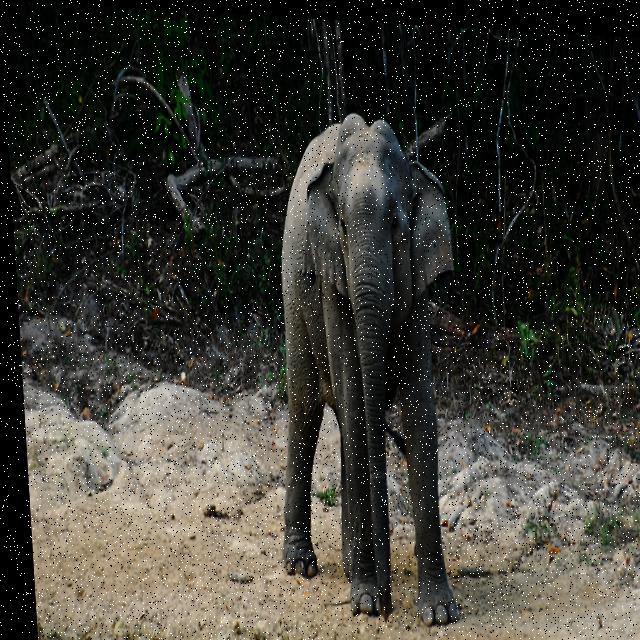 Elephant Detectiong Object Detection Dataset And Pre Trained Model By Elephant Detect Using Drone