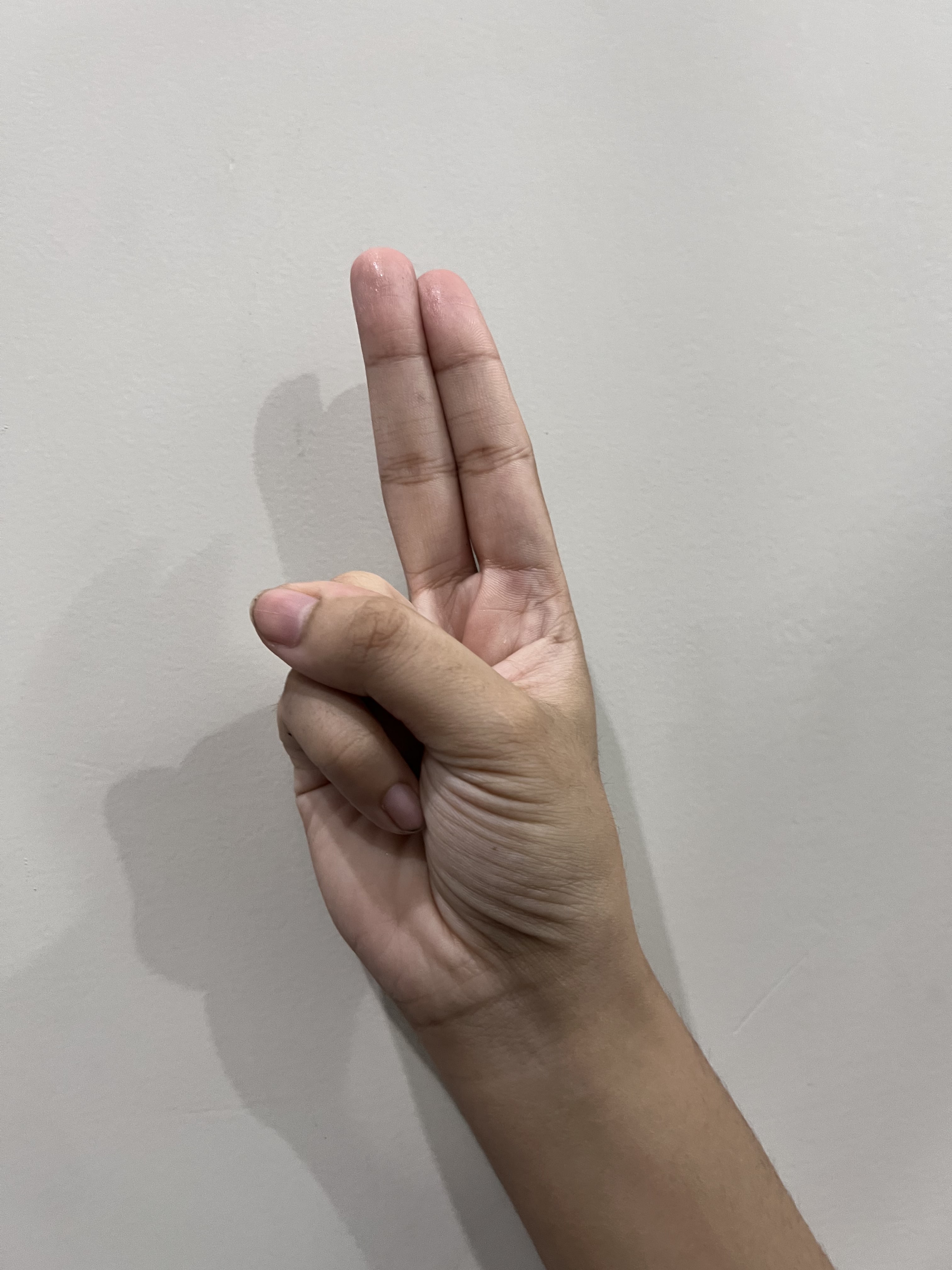 PSL EXTENDED DATASET - Roboflow Universe