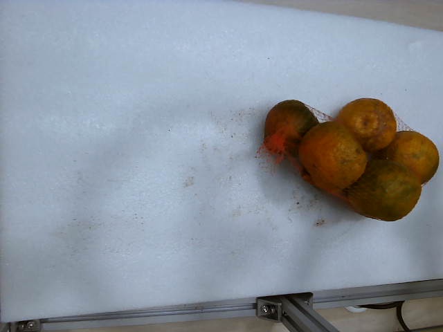 bluedot_f-v_ins_seg_nettedbag01 Instance Segmentation Dataset by screwdriver