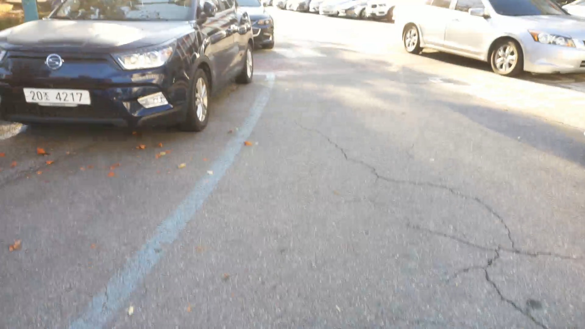 Detection Model Object Detection Dataset And Pre Trained Model By Hiteam