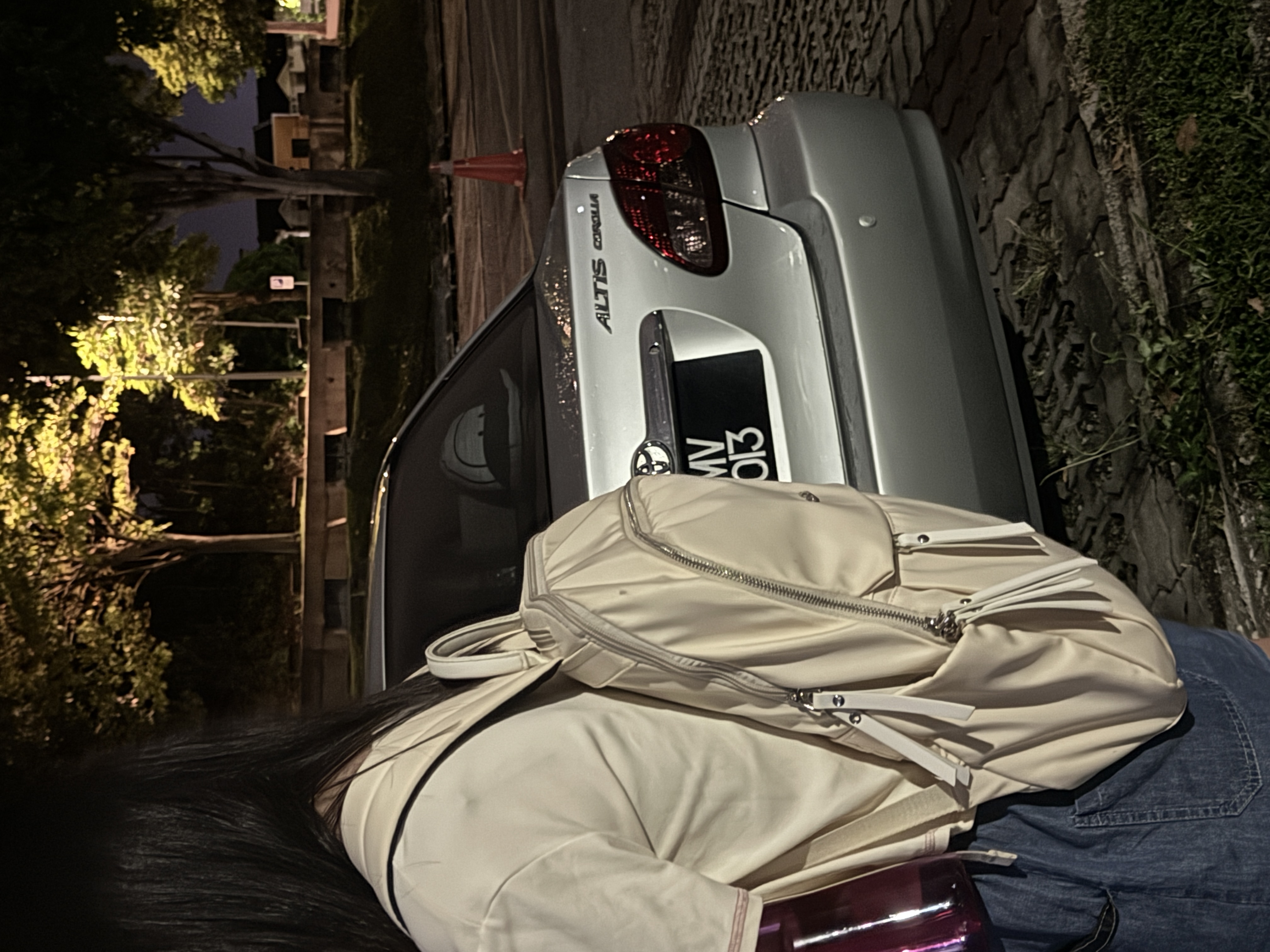 TPR Car Logo Detector Object Detection Dataset and Pre-Trained Model by ...