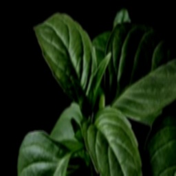 ML (ml-r6vhy) - Roboflow Universe