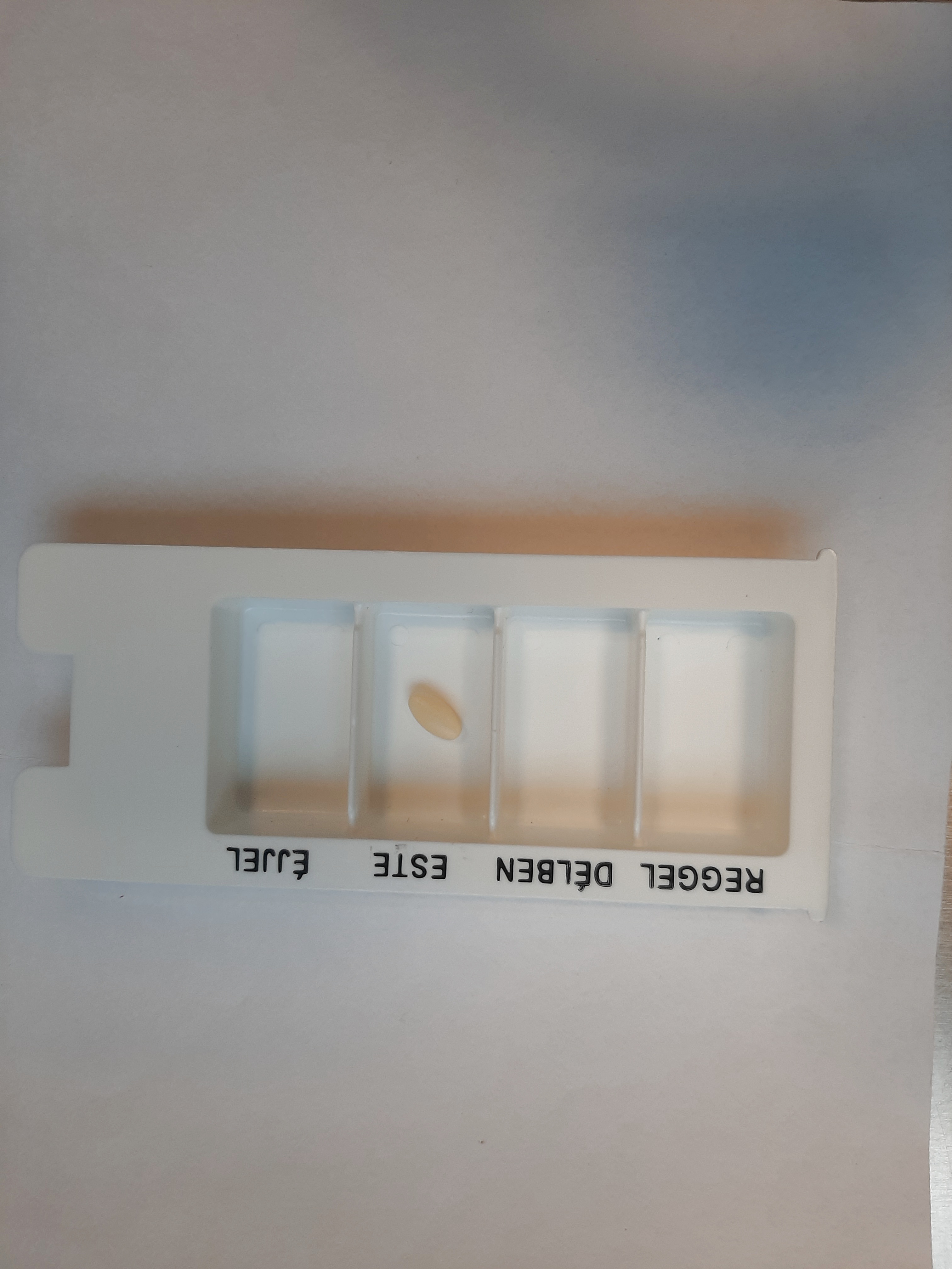 kaposvar Instance Segmentation Dataset by ptepill