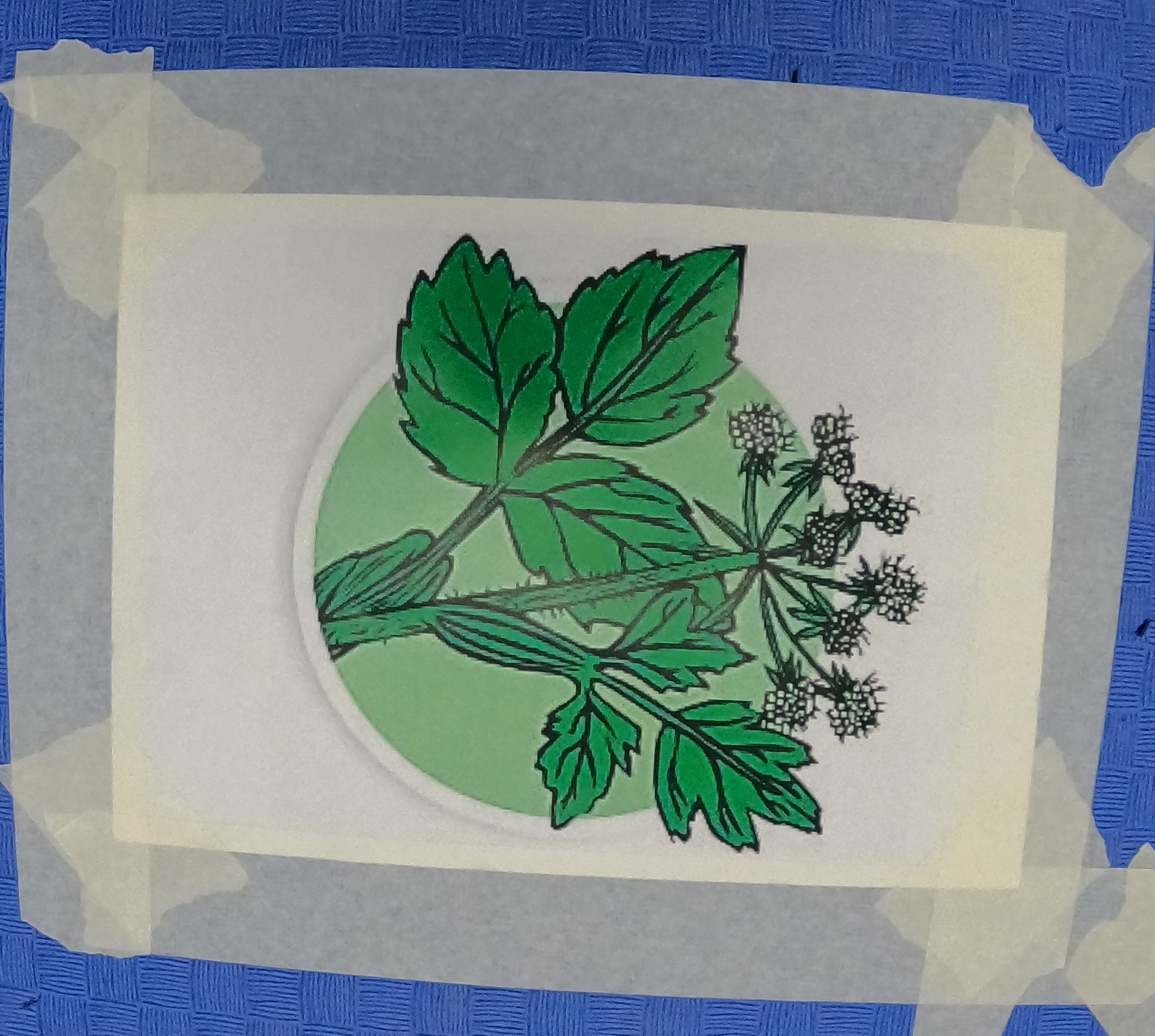 ivan (ivan-vdfn5) - Roboflow Universe