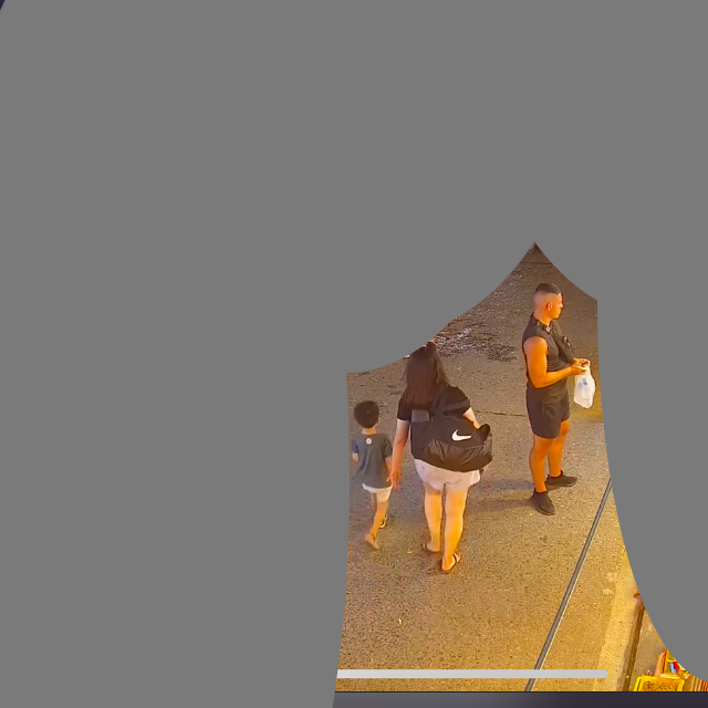 Merged Instance Segmentation Dataset and Pre-Trained Model by resp