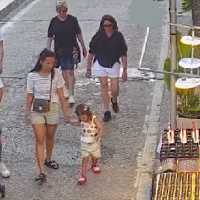 Merged2 Instance Segmentation Model by resp