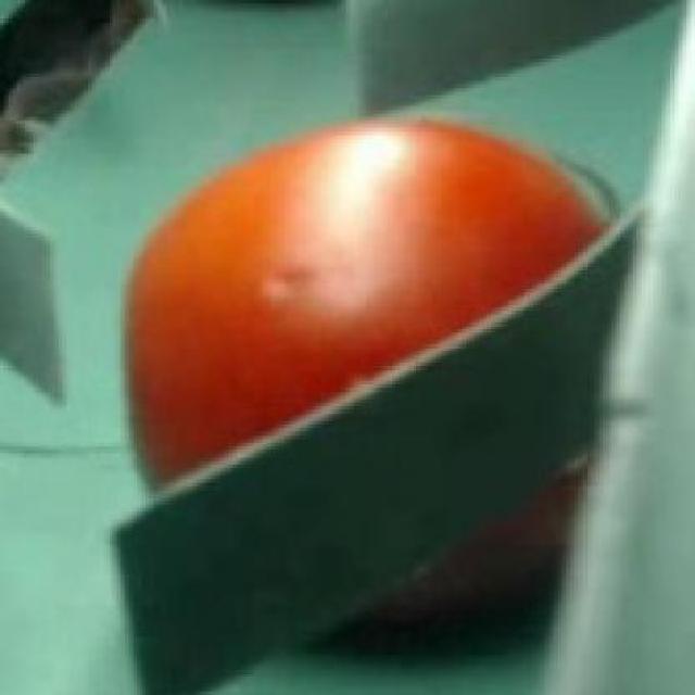 fruit Object Detection Dataset and Pre-Trained Model by moz