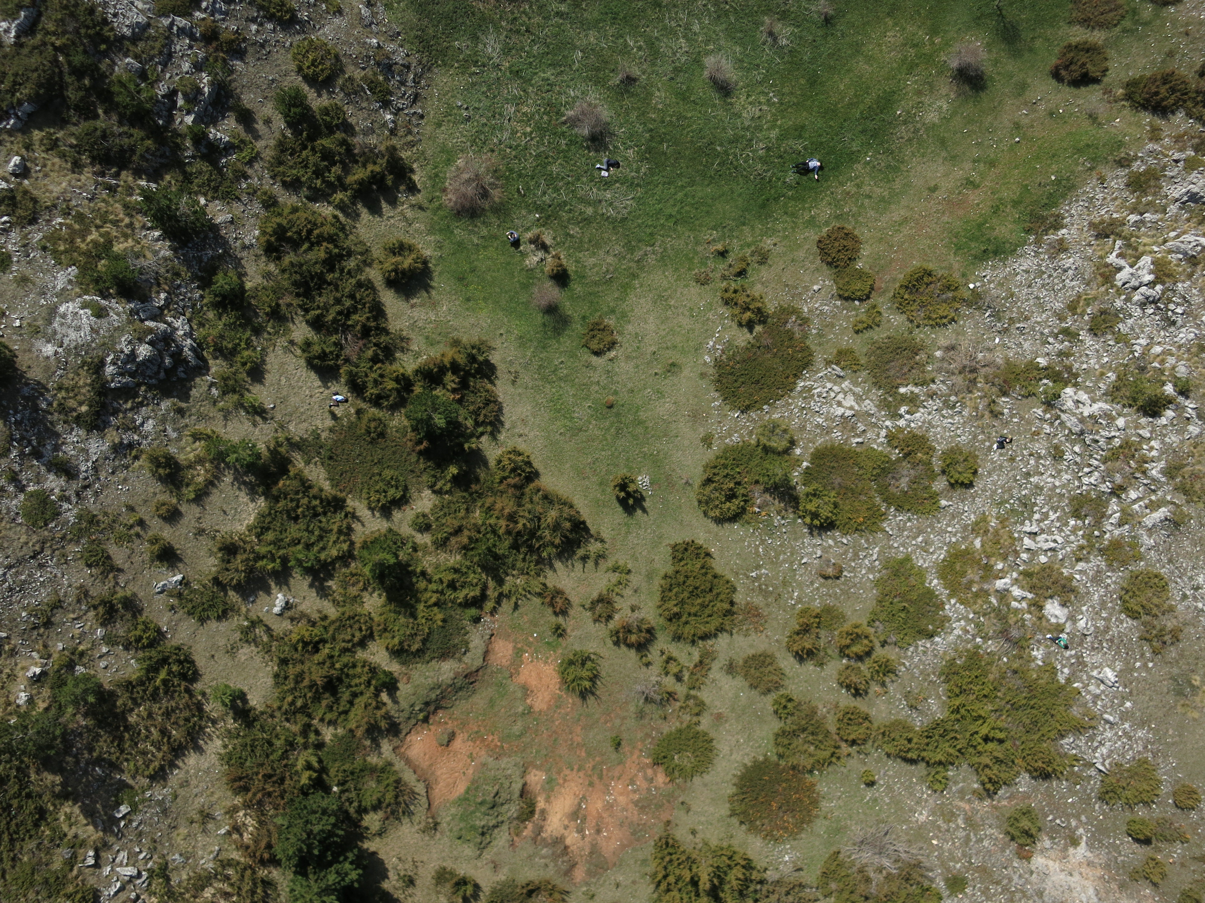 Aerial_Object_Detection Object Detection Dataset and Pre-Trained Model ...